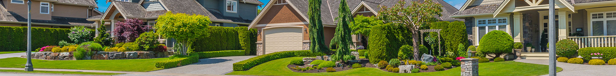 Why Choose Elite Management | HOA Management Services